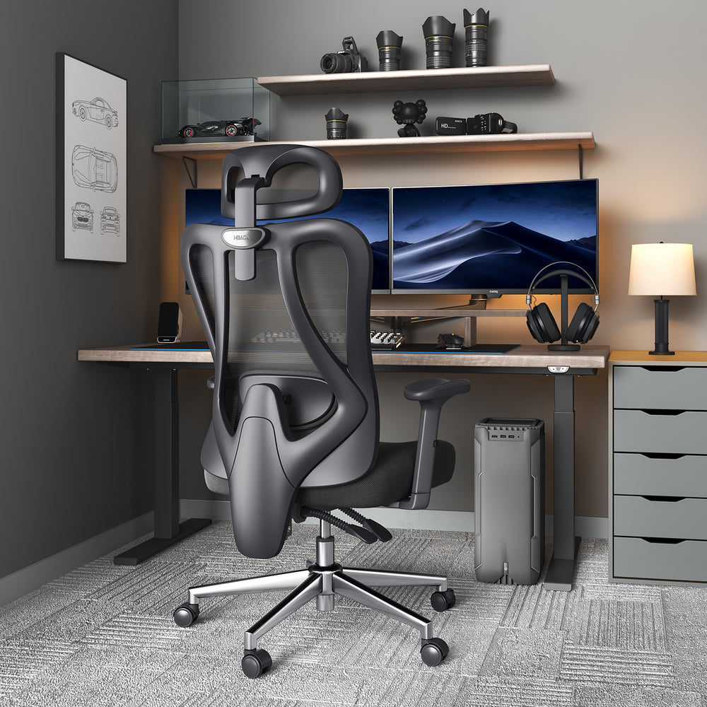 HBADA P3 Ergonomic Office Chair without Footrest